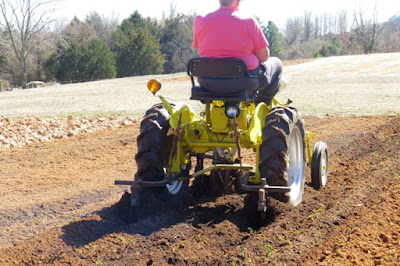 Farmall Cub Hub: Yellow Cub Laying Off Equal Rows