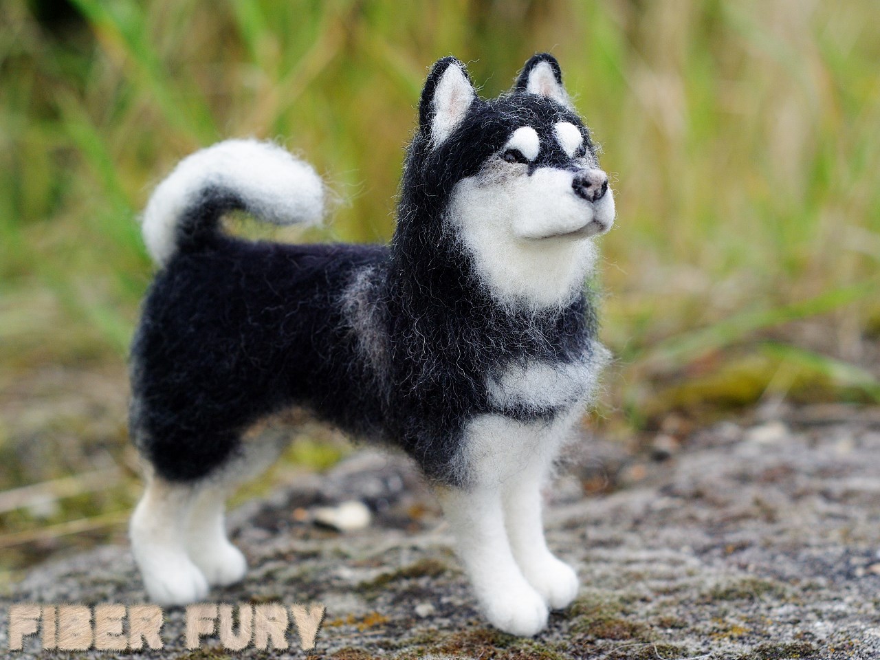 Fiber fury : Alaskan Malamut / Alaskan Malamute