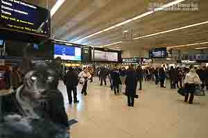 CRYPTOZOOLOGY ONLINE: Still on the Track: BIG CAT NEWS: The Beast of ...