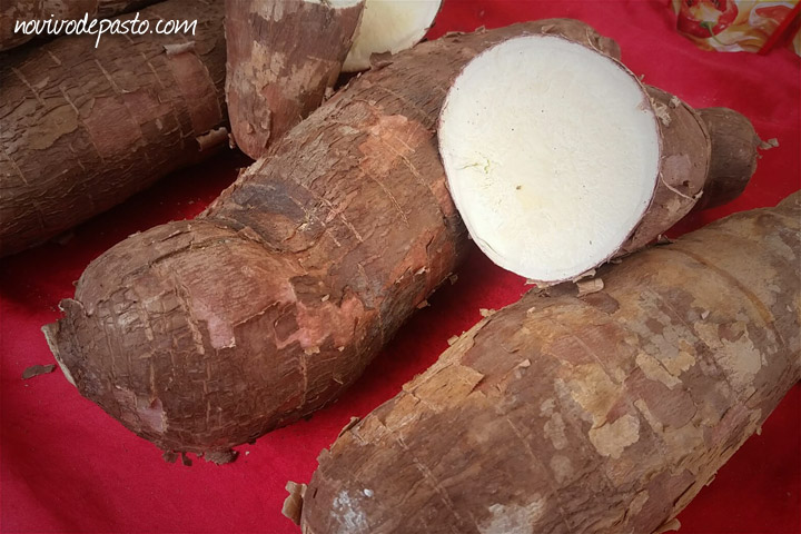 Puré de yuca - No vivo de pasto