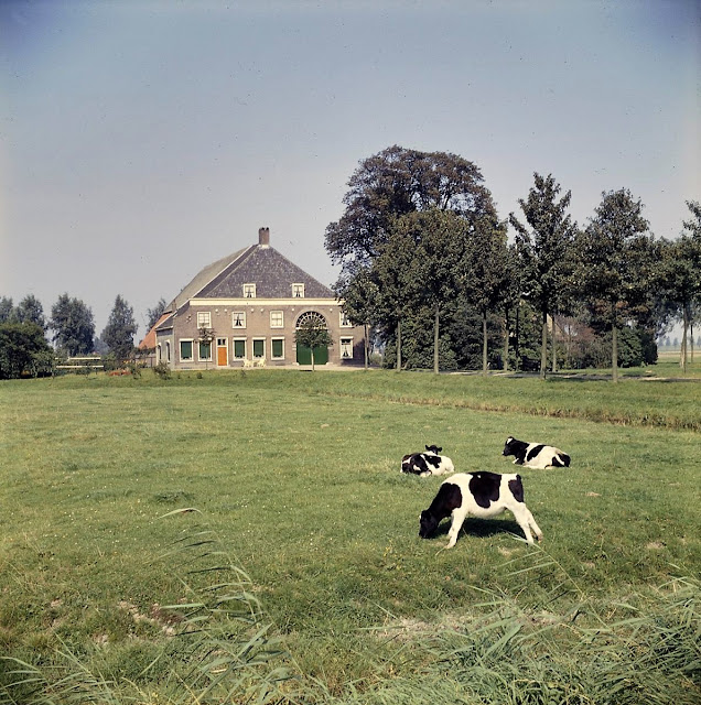 Dorpen en Steden van Nederland: Dubbeldam (Zuid-Holland)