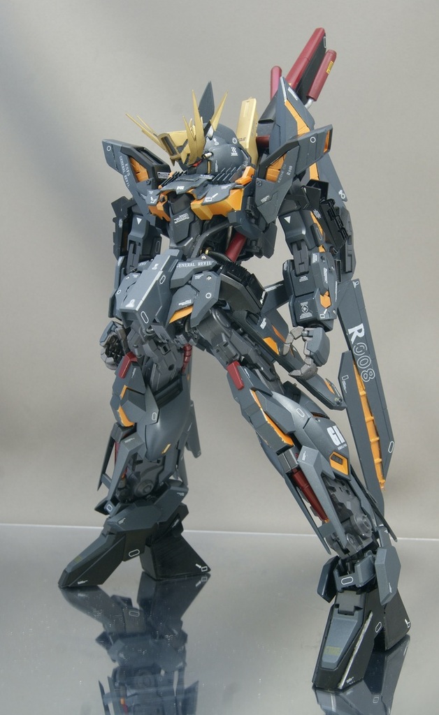 Custom Build: MG 1/100 Delta Plus "Banshee"