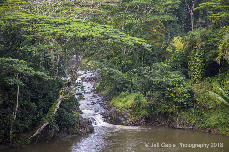 Jeff Cable's Blog: The beauty of the island of Kauai