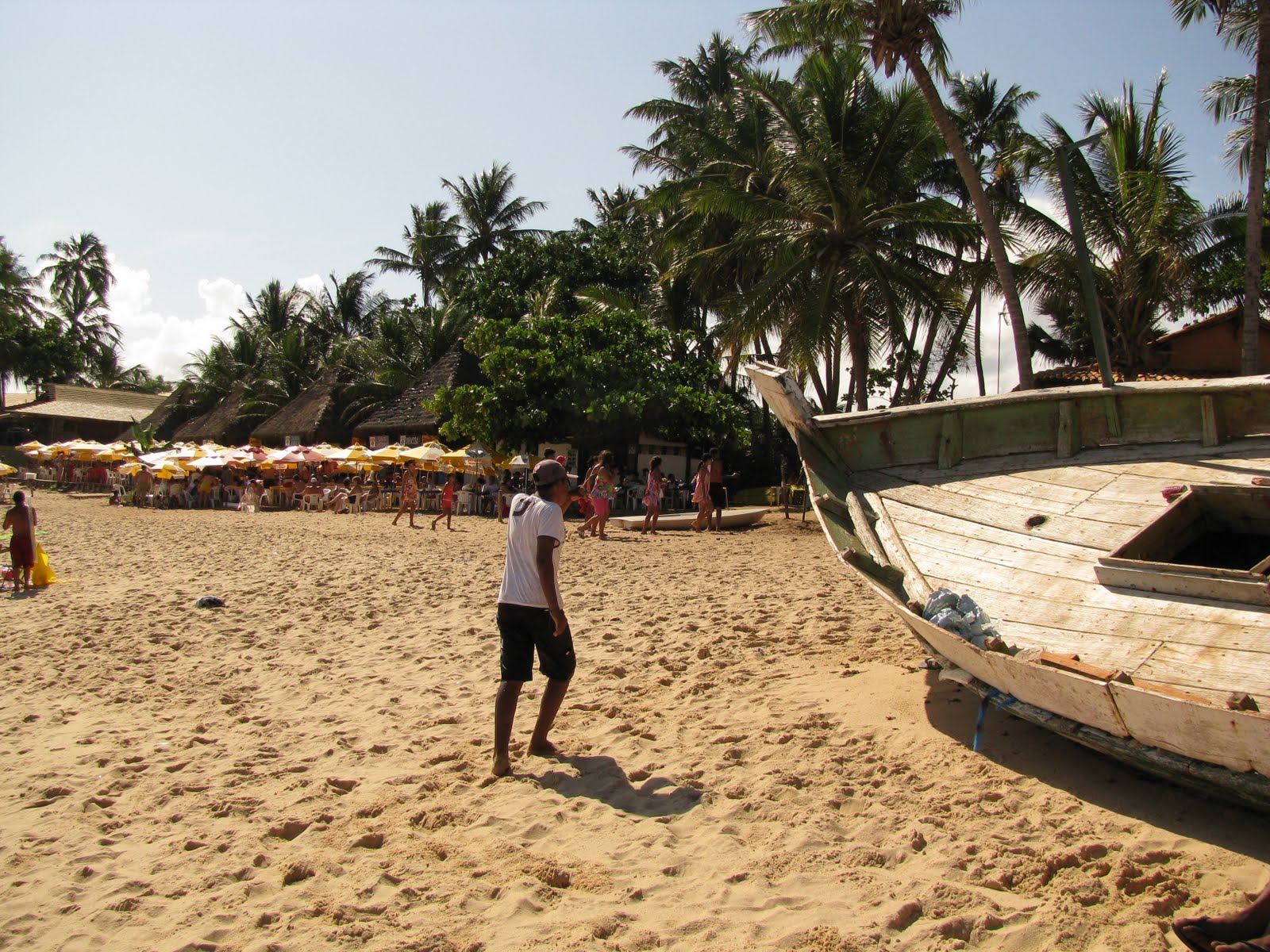 Run Wild Run Free : Brazil's Beach Life~ Rio & Bahia ..toned bodies ...