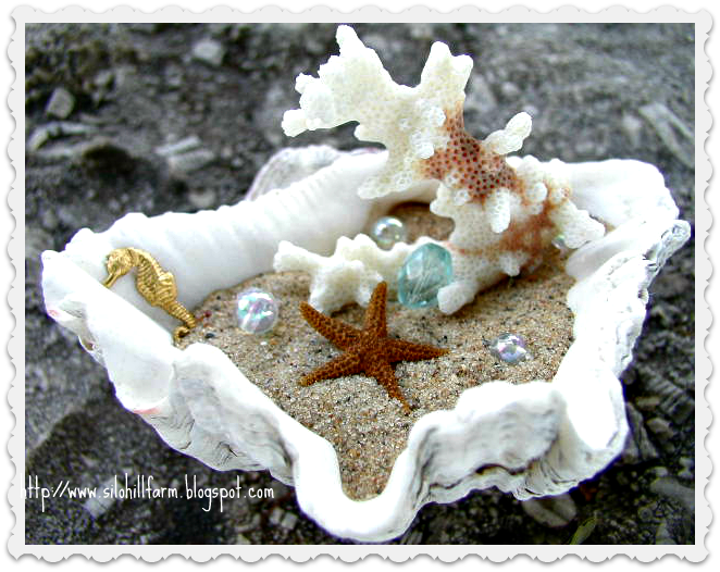 Silo Hill Farm: CLAM SHELL SAND DISH