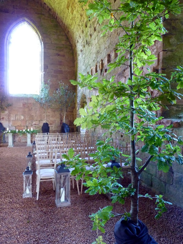 Planet Flowers: Dunglass Estate