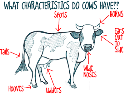 Cow Personality Test – Designed by UC Berkeley psychologists ...