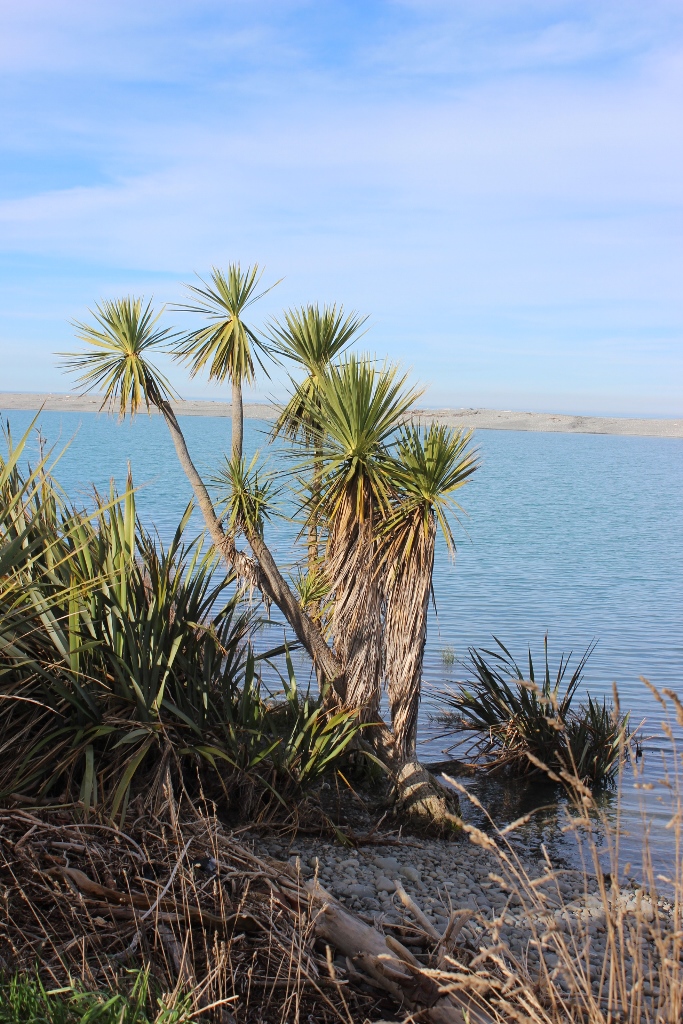 Time Not Important-Only Life: Rakaia Huts.July 2013. Her photos
