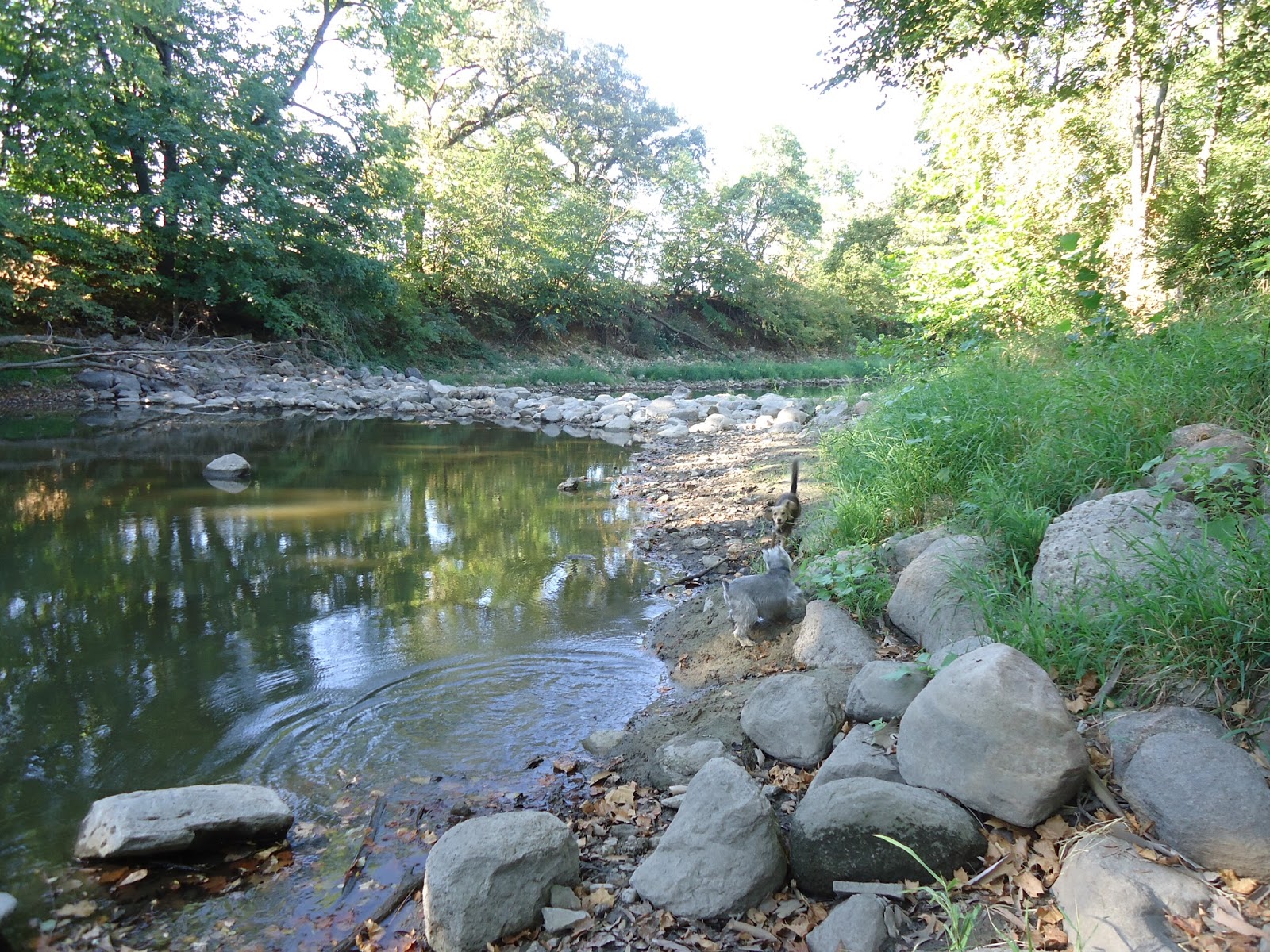 Soper's Mill and McFarland Park, Ames, Iowa
