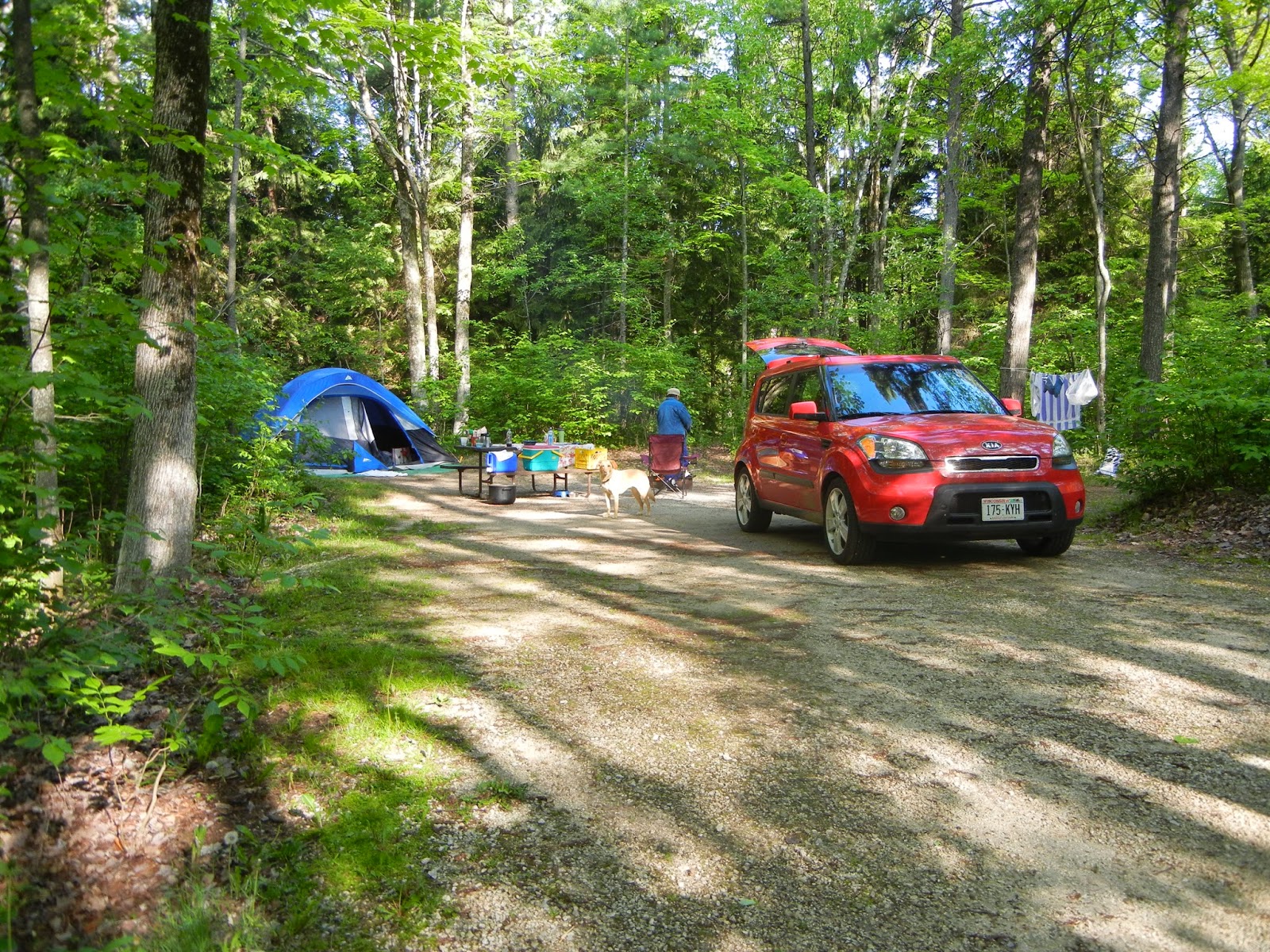 Hiking with Heather: Point Beach State Forest