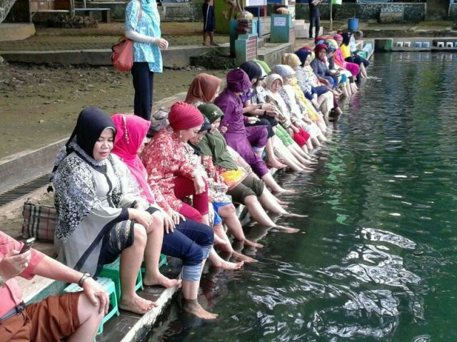 Wisata Terapi Ikan - Perumperindo.co.id