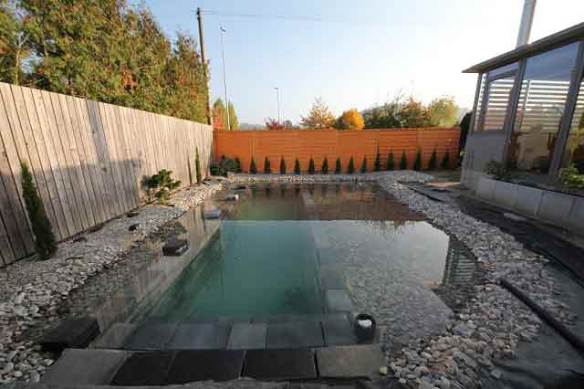 Best ways to build up your own natural swimming pools: Build up your ...