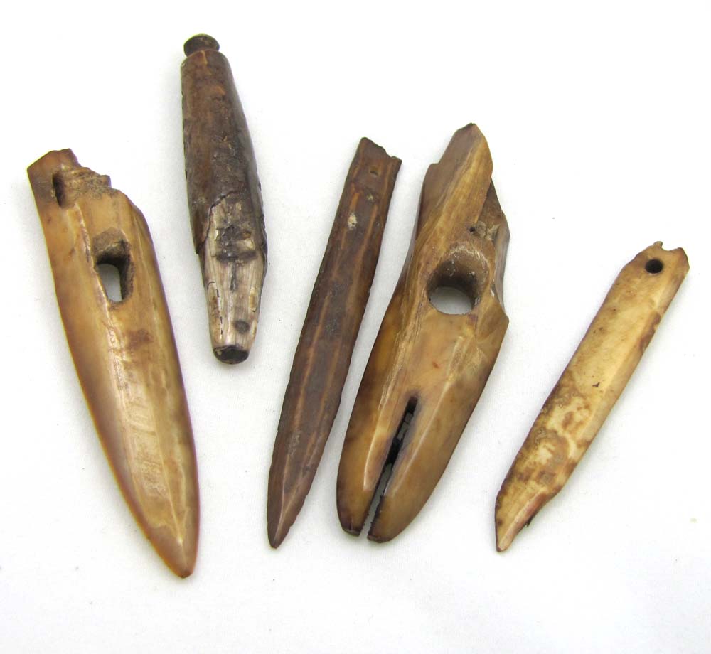 *Numinosity*: Walrus Fossil Ivory ~ A Rich Collection