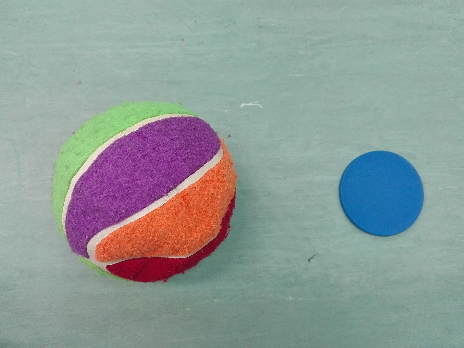 Juntos descubrimos el mundo: ¿EN QUÉ SE DIFERENCIA UN CÍRCULO DE UNA ...