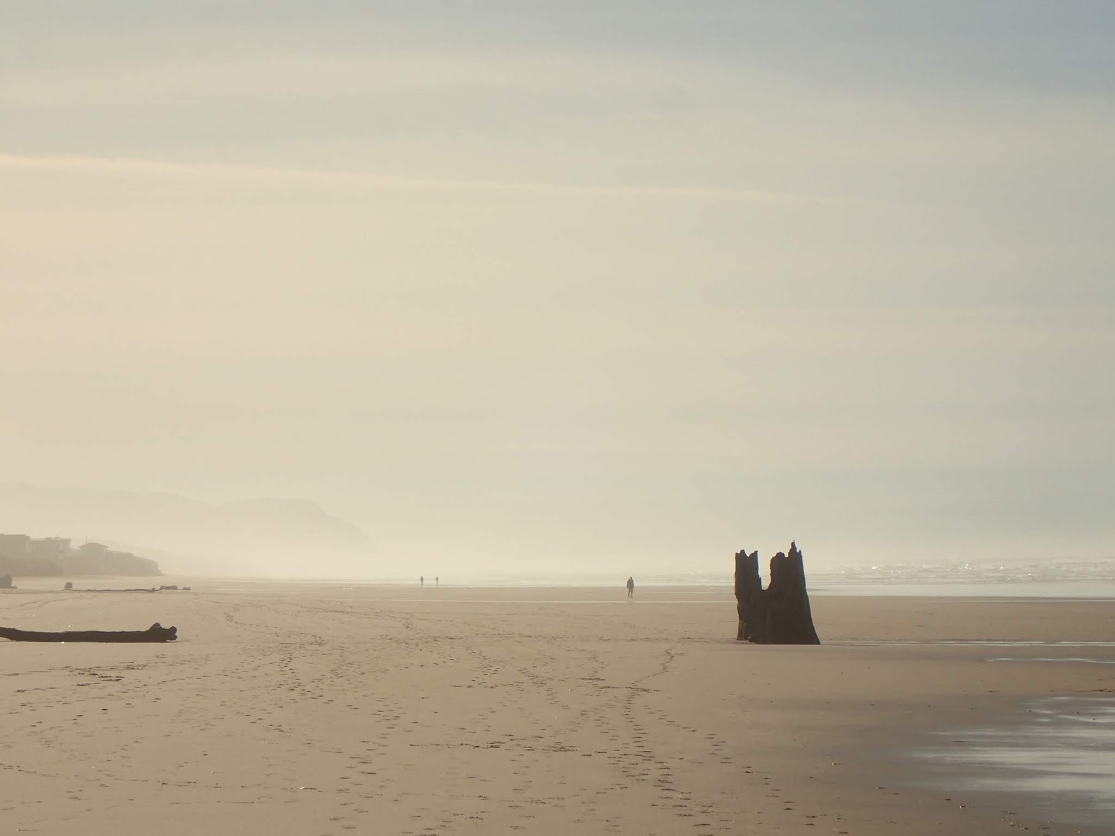 Casing Oregon: Mystery in the Sand: Big Stump Beach