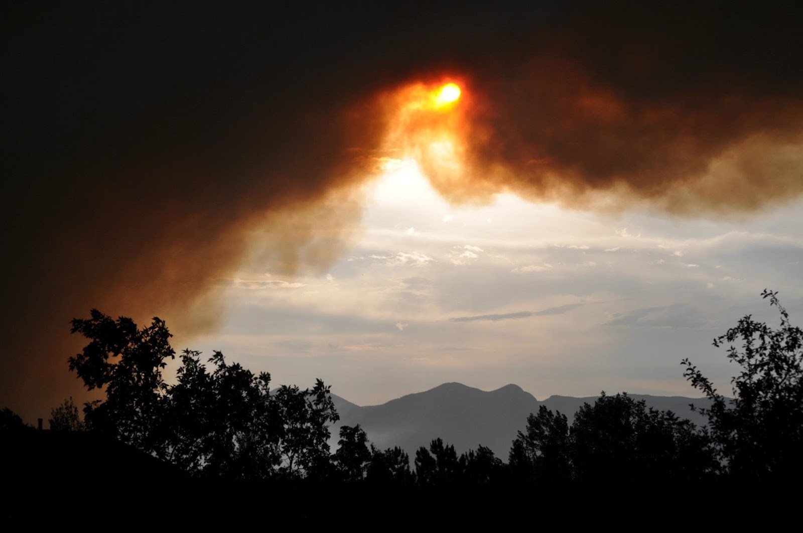 To Make It Worth The Pain: Practicing peace...............