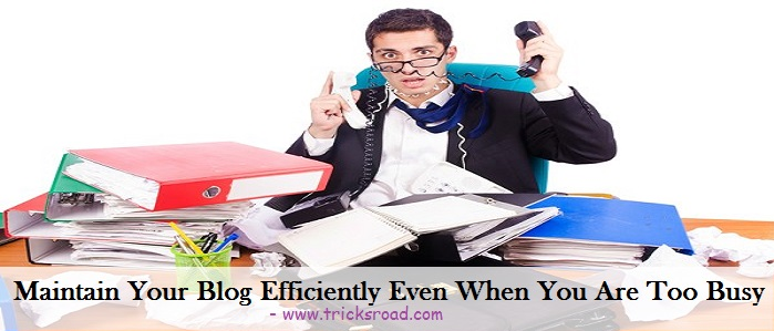 How to Maintain Your Blog Growth Even When You Are Too Busy ...