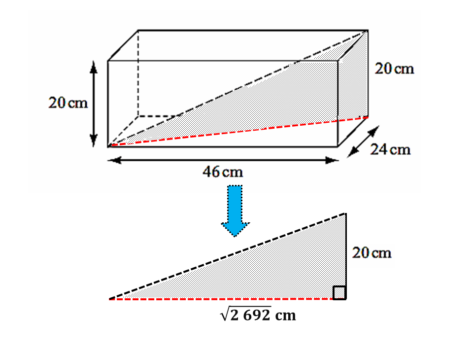 3D Problem | IGCSE at Mathematics Realm