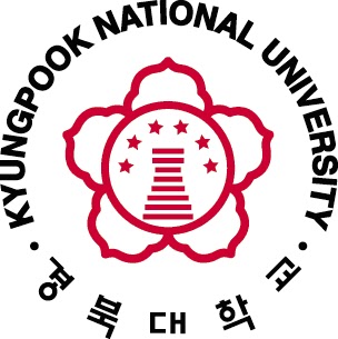Kyungpook National University Knu Sanju South Korea Indian Dance