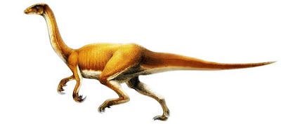 Mundo Dos Dinossauros: Segnossauro