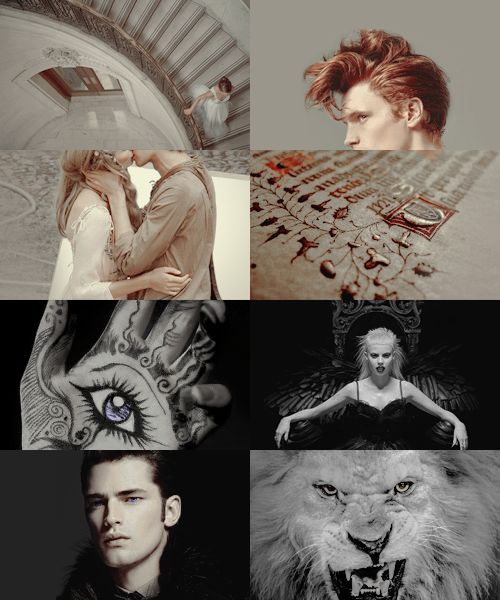 Reseña Una Corte De Rosas y Espinas Autora Sarah J Maas