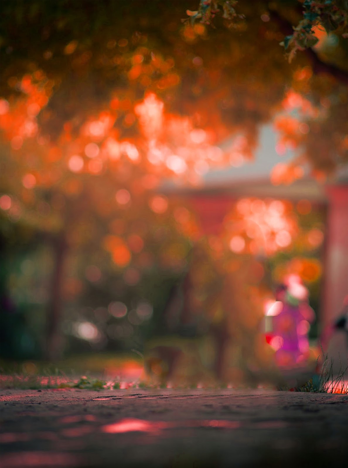 New CB Background Pics | CB Editing Backgrounds | By Abk Creation | cb ...