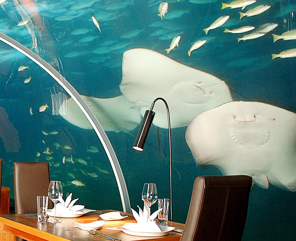 Ithaa, la experiencia de comer bajo el océano