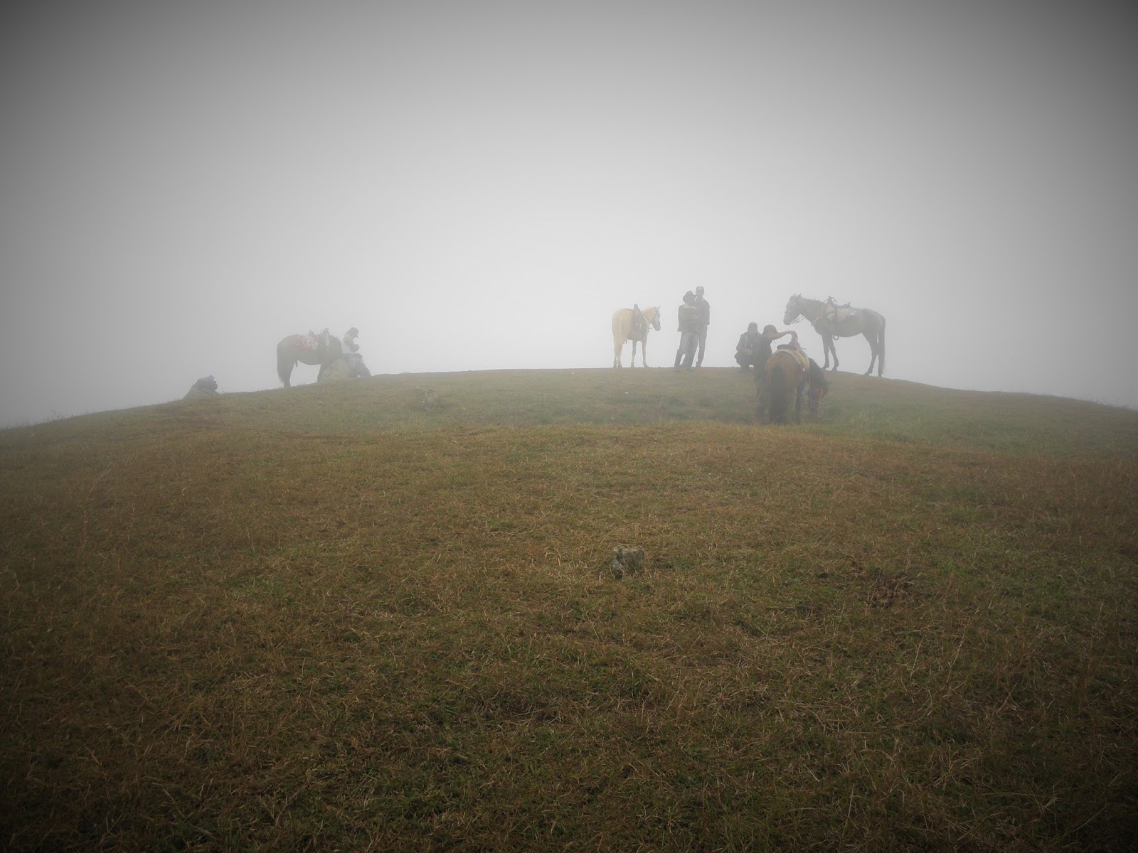 Mt. Yangbew in La Trinidad, Benguet Engulfed by a Sea of Clouds and Mist