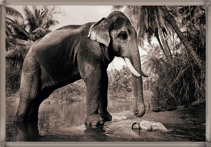 Ostáriz Art Gallery: Gregory Colbert