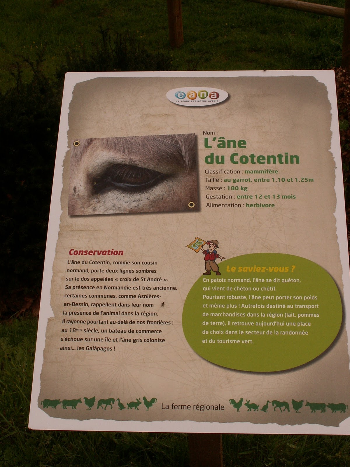 lea animaux de mon coeur: Visite de EANA le 04.04.2011.