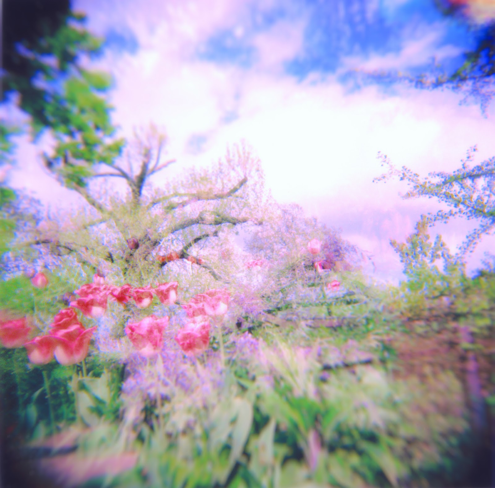 Magical garden images - virinfo