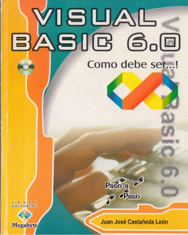 Visual Basic