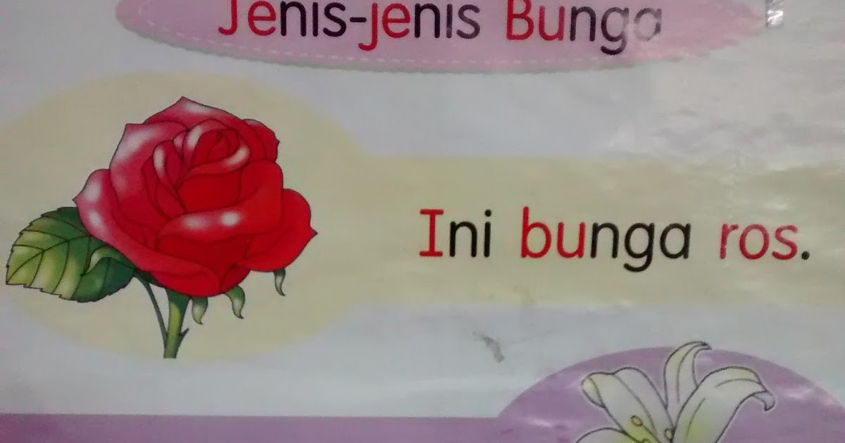 Gembira Belajar ABC: Ulangkaji - Jenis-jenis Bunga