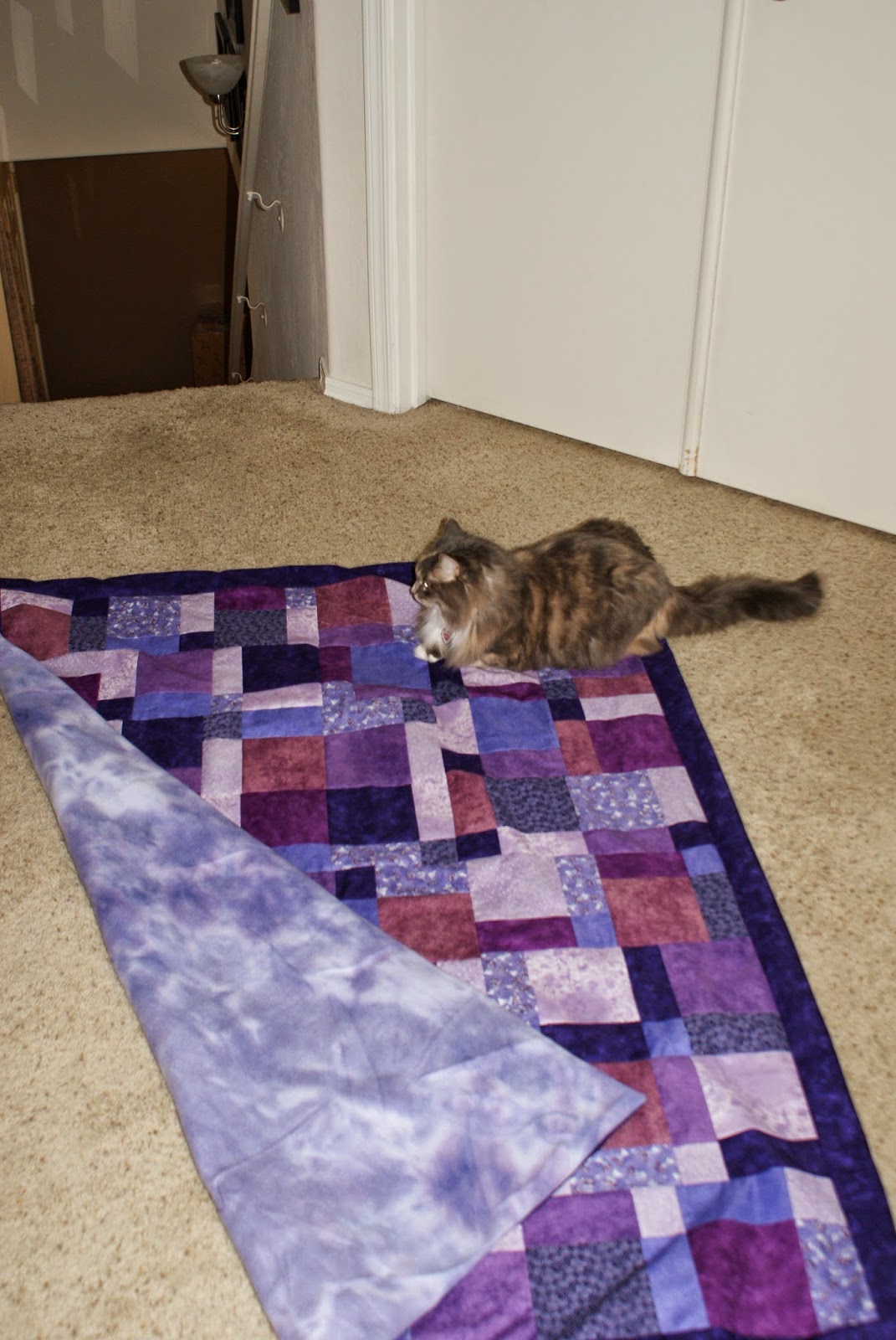 The Quilting Kitty's Quilt History: Jenny Doan's Disappearing Nine Patch