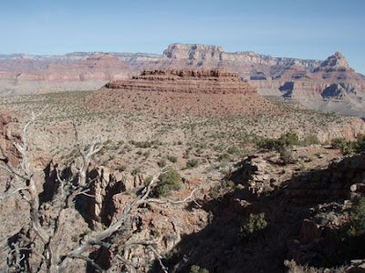 Grand Canyon National Park | Back2Basics Drug & Alcohol Treatment