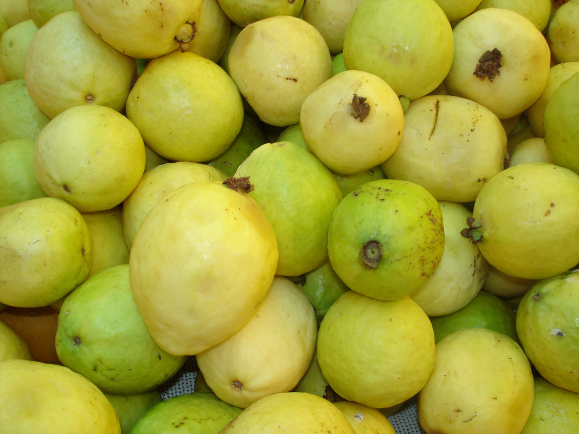 I'll give you a piece of my mind: Memories; one old, lots of new