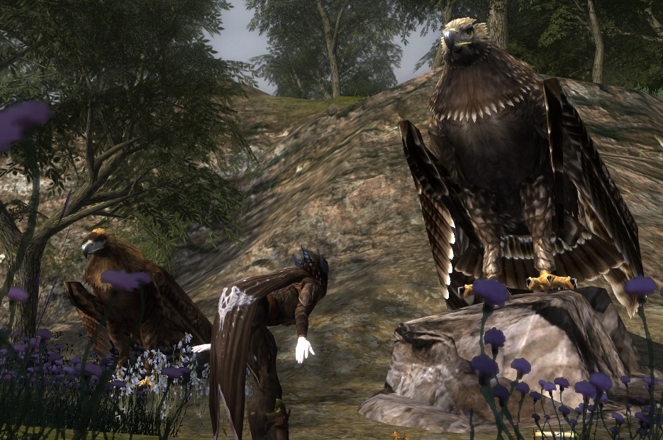 The Elven Tailor: Friend of Eagles