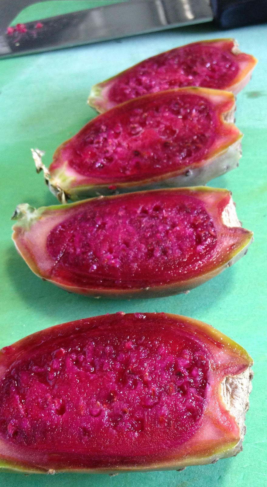 Franklin Inn Mexican Restaurant: What the Heck is a Cactus Pear?