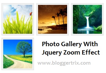 Attractive Photo Gallery With Jquery Zoom Effect | Blogger Tips ...