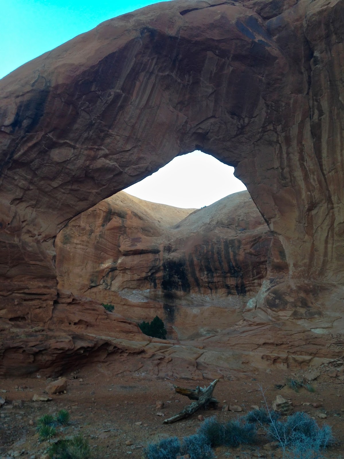 ARCHES: FUNNEL ARCH