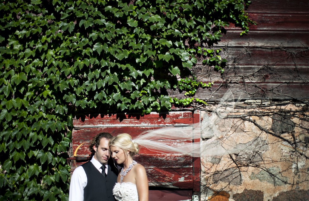 Le Petit Connaisseur de la Mode: Local inspiration: muses and lenses