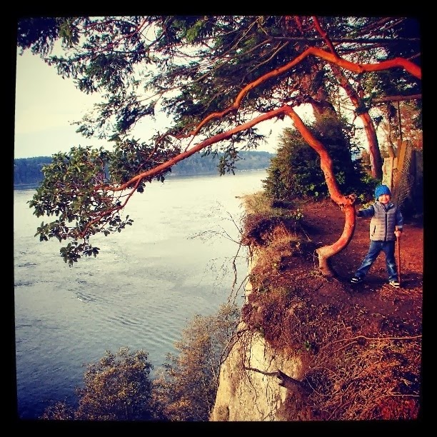 ExtraHyperActive: Exploring And Hiking In Point Defiance Park, Tacoma, WA