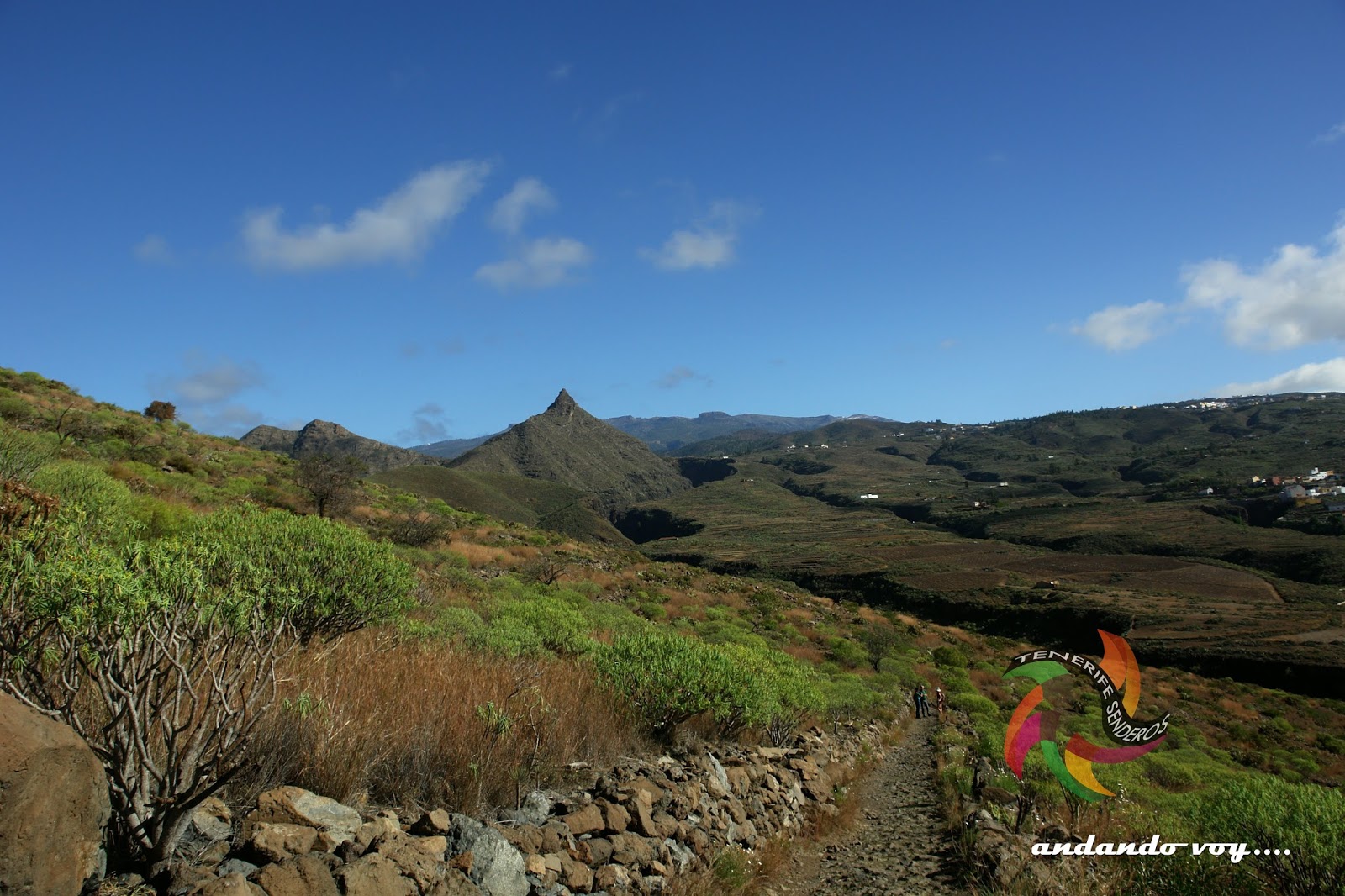 Tenerife senderos......: TENERIFE SENDEROS : ROQUE DEL CONDE