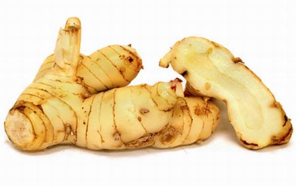 Berbagai Manfaat Simplisia: Lengkuas ( Languatis Rhizoma )