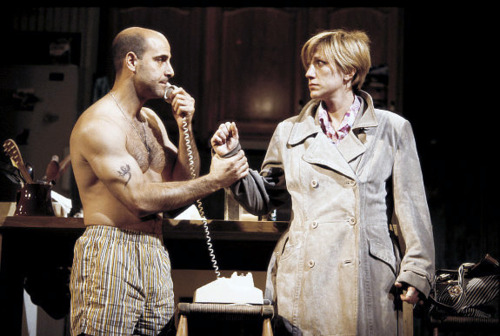 Pink Fox Patrol: The Great Stanley Tucci