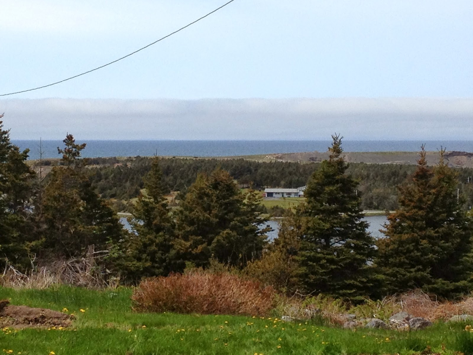 Flynn's Hill: A Visit to Point Verde, NFLD