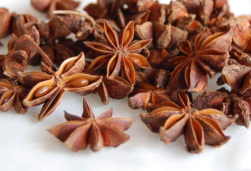 plantes aromatiques: La badiane ou Anis étoilé