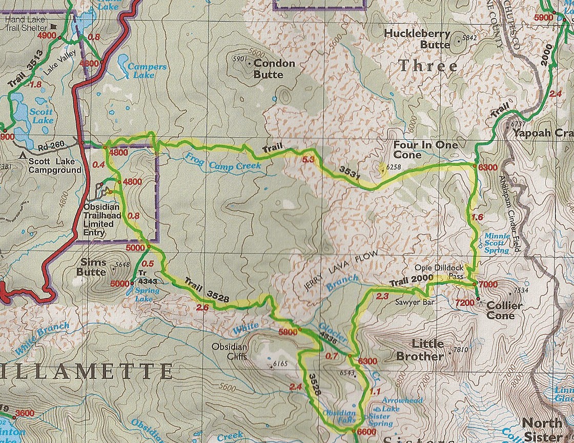 Exploring Cascadia: Hiking Obsidian Falls Loop Trail With Max