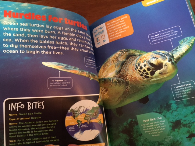 Good Books For Young Souls: Giveaway: Two New Books from Animal Planet