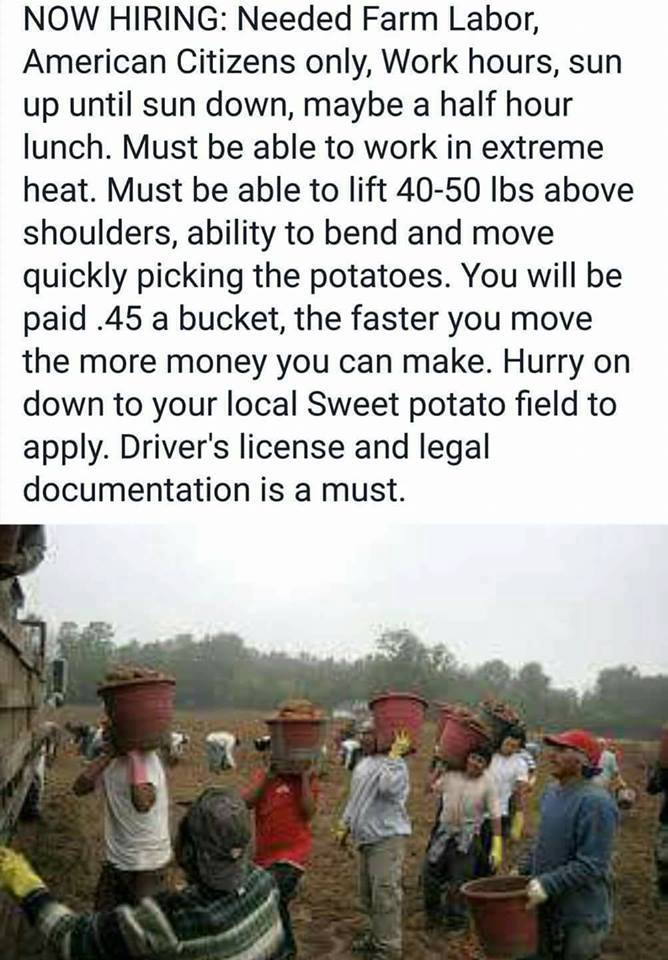 YELLOWDOG GRANNY: survived another week..how many more can we survive?